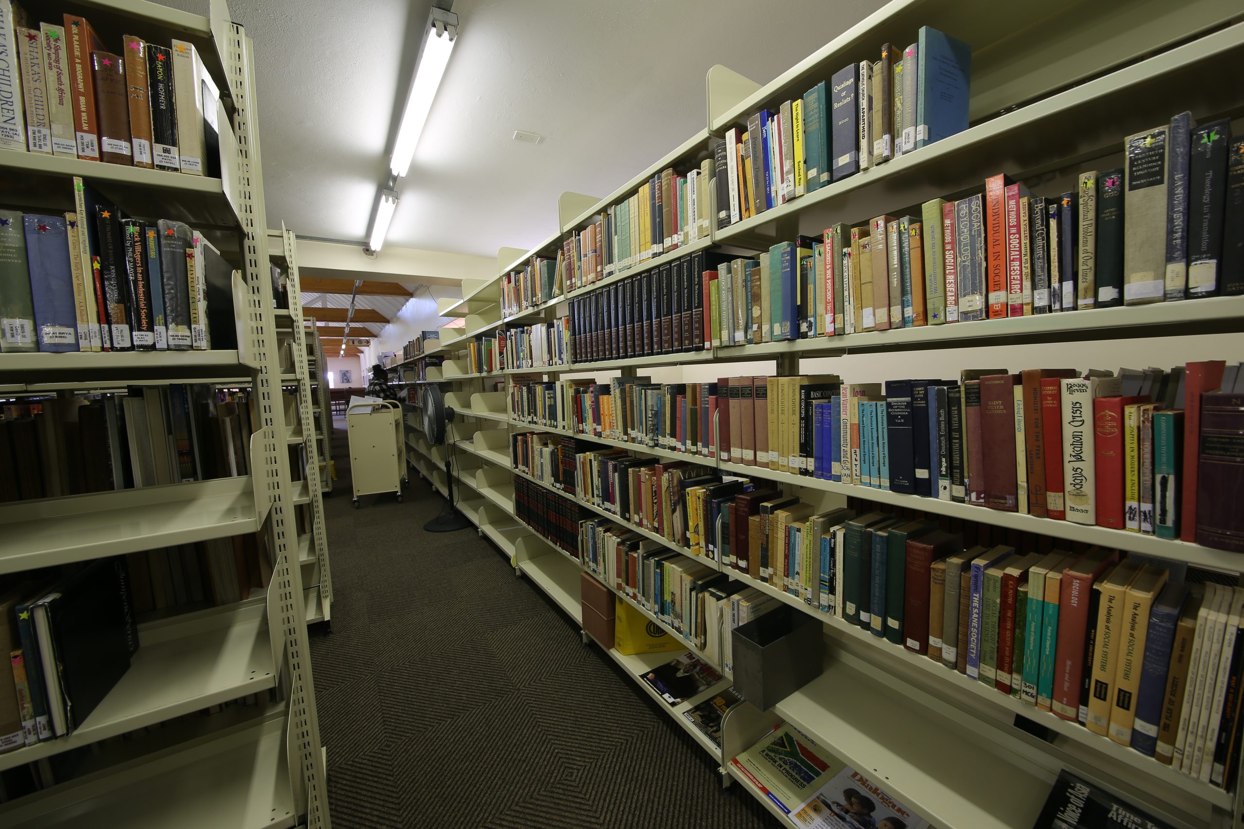 Bolted vs. Library Shelving: Choosing the Right Fit | Krost